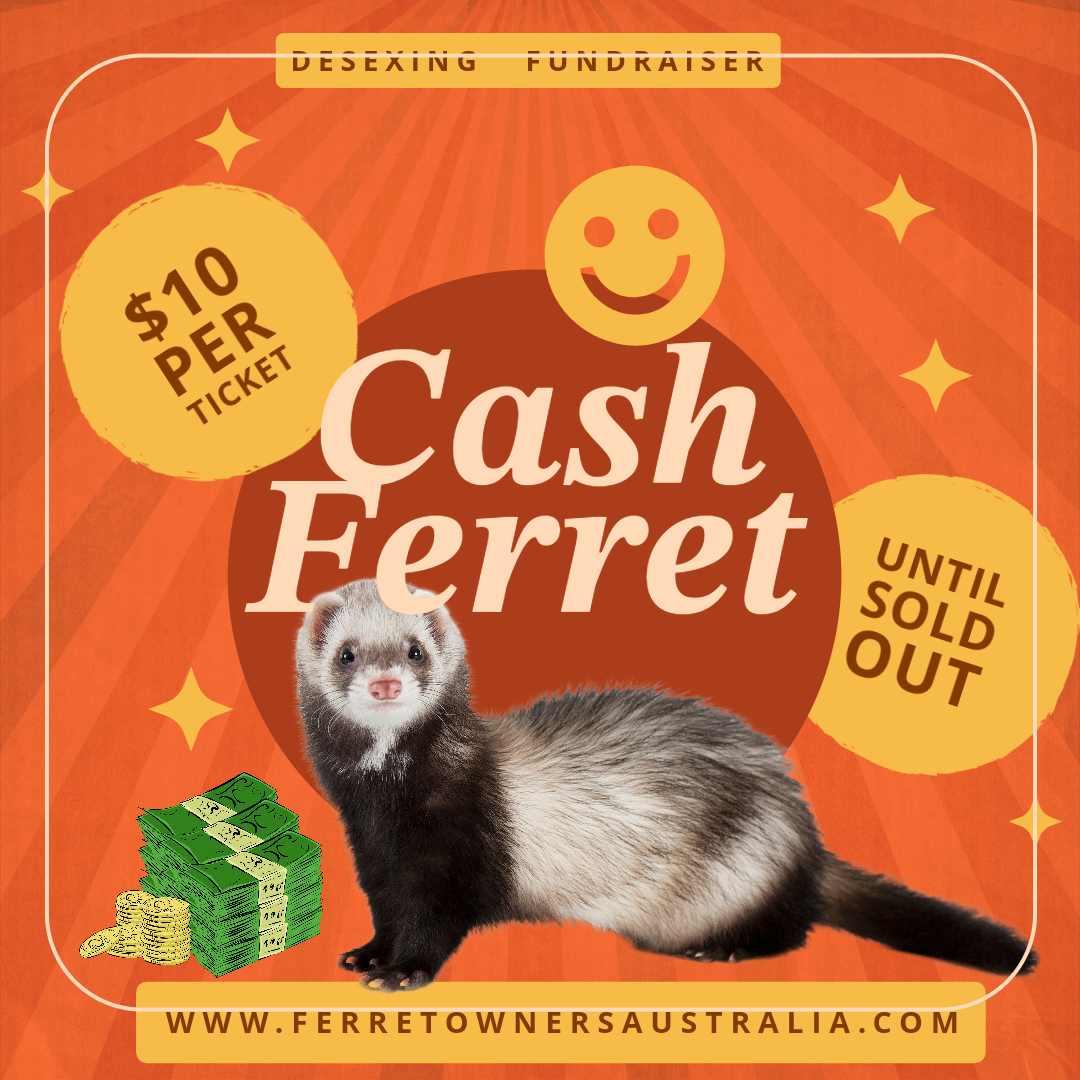 Cash Ferret – FerretOwnersAustralia