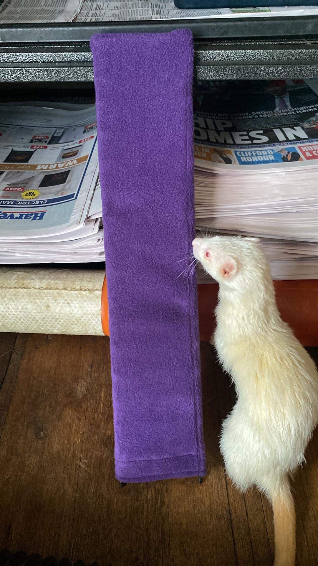 Ferret Cage Ramp Cover | Ferret Ladder Covers For Paws ...