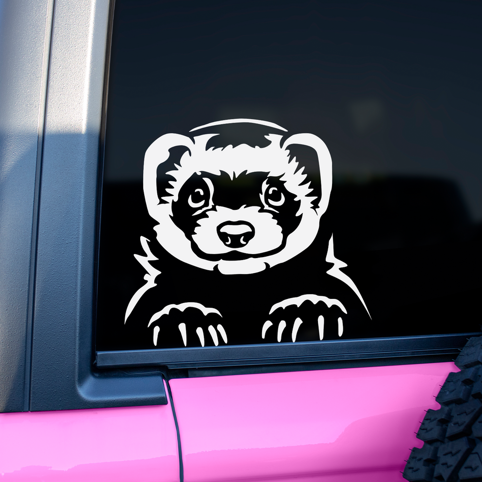 Ferret Peeping Sticker | Ferret Stickers Australia – FerretOwnersAustralia