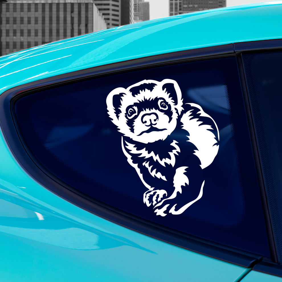 Custom Ferret Name Decal | Ferret Stickers Australia ...