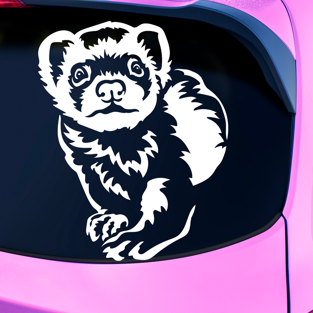 Ferret Stickers | Decals Stickers For Ferret Owners Australia ...