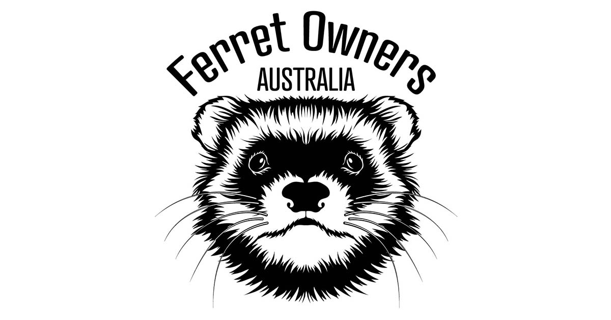 Ferret Rescues Australia | Ferret Owners Australia – FerretOwnersAustralia