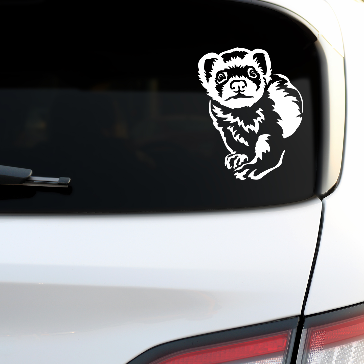 Custom Ferret Name Decal | Ferret Stickers Australia ...